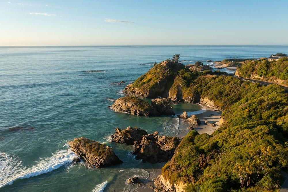 Welcome to this week's Pānui — He Pānui Pāpori