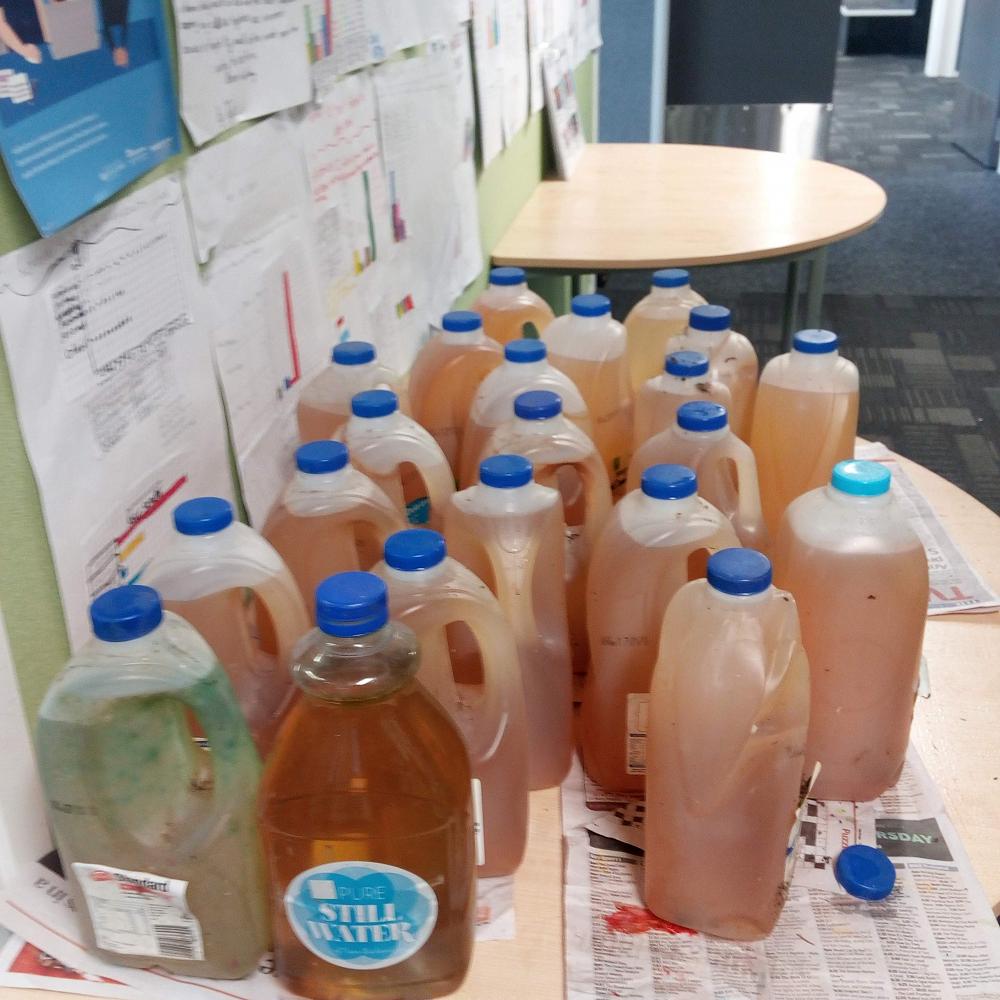 Worm Wee and plants for sale