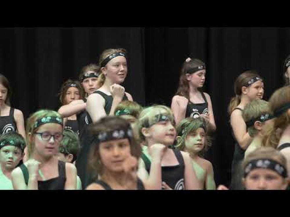 Video: Kapa Haka Performance 2020