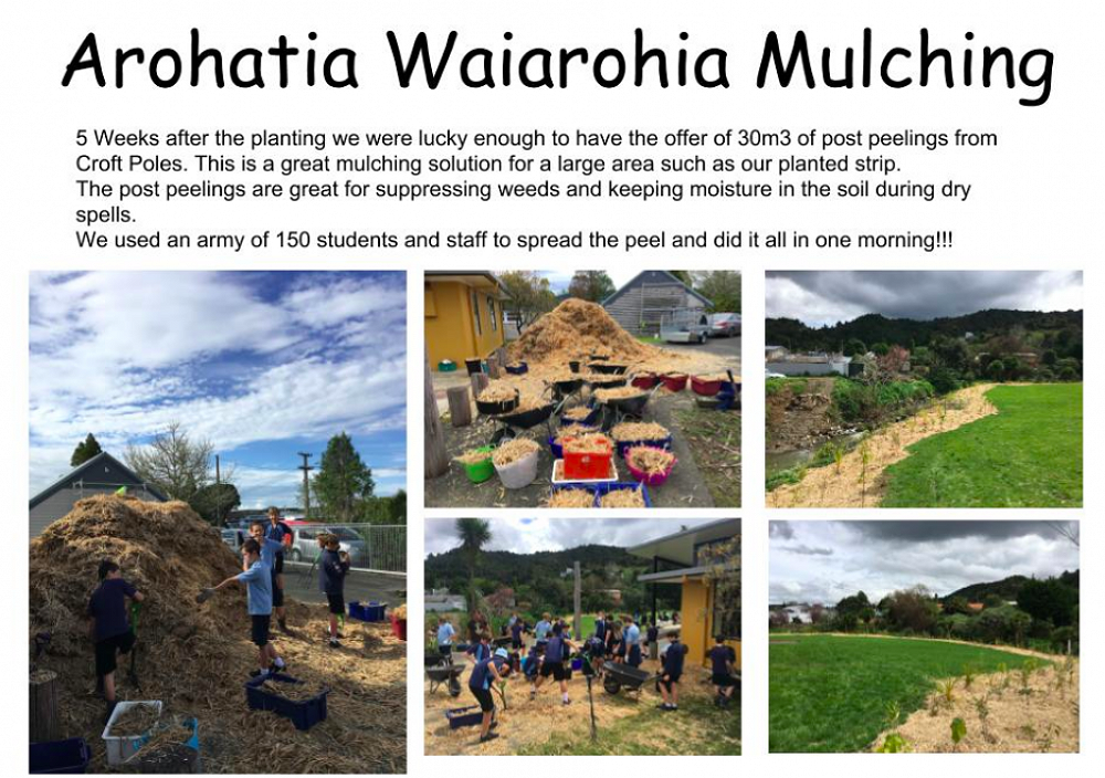 Environmental Education — WIS Way