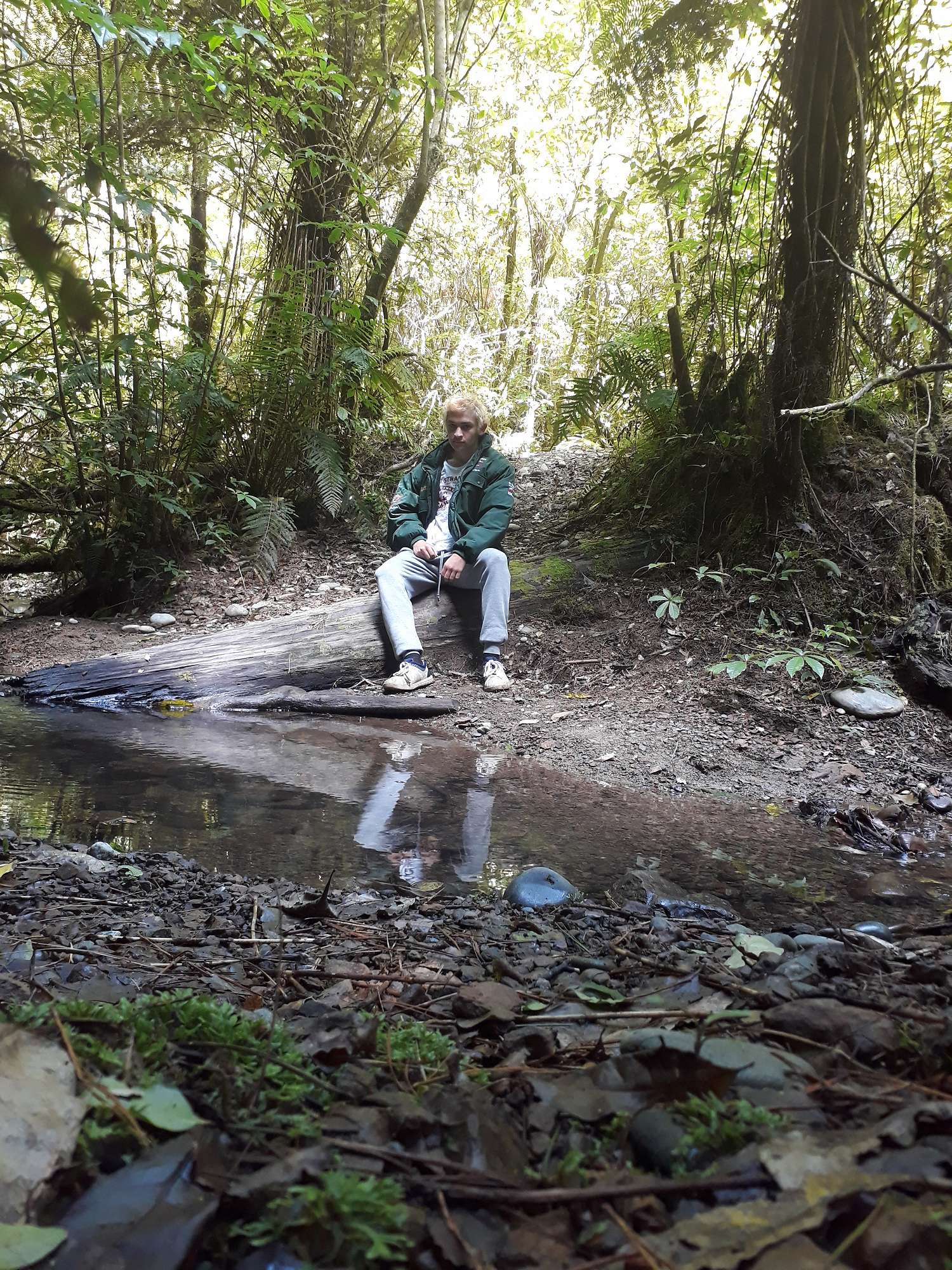 Te Tauhere - Petrus King Blokker