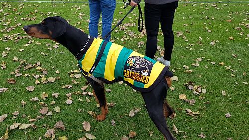 Green Island Rugby Football Club