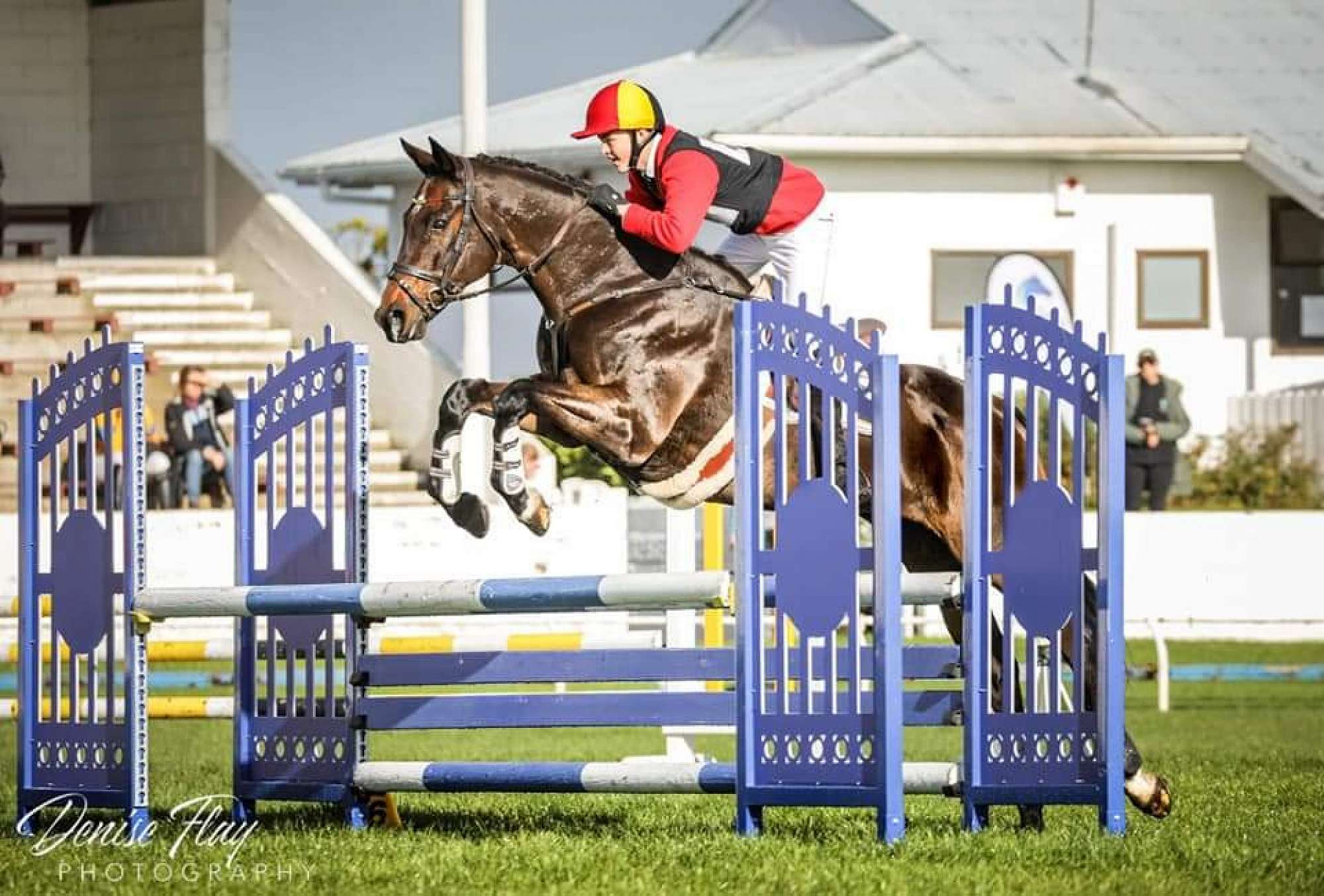 🏇 Daniel Garland (Year 11), wins a New Zealand Equestrian title 🥇 🇳🇿
