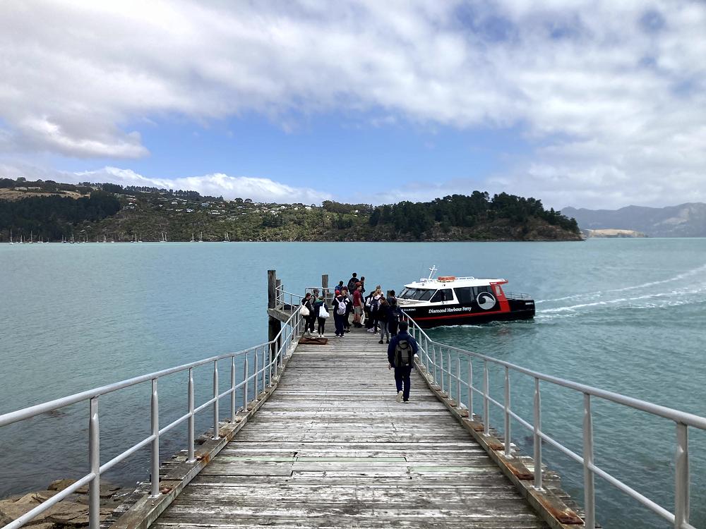 Ripapa Island for Year 11 History — DHS Dispatch, Friday 12 April