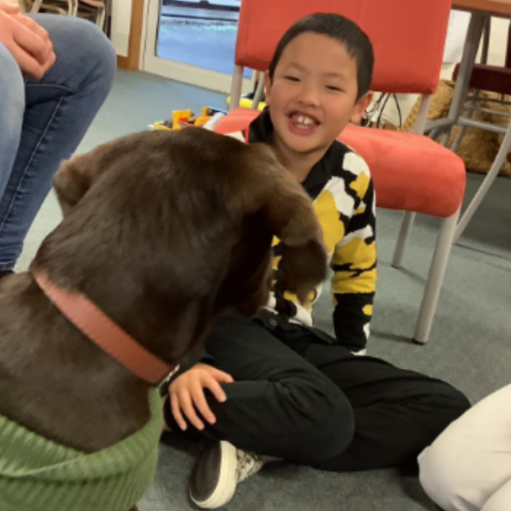 Room 1 Students say 'Hi' to Walter the Labrador.