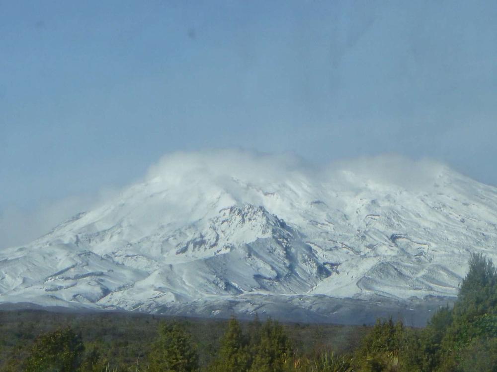 Decision Reach Out Toromai Trust