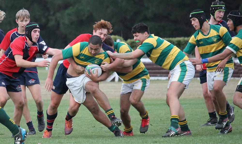 Rugby success for First XV at HIBS
