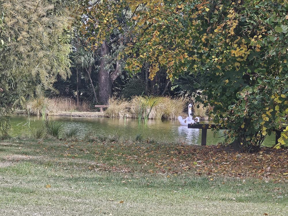 Pikopiko News — Newsletter 04 April 2024