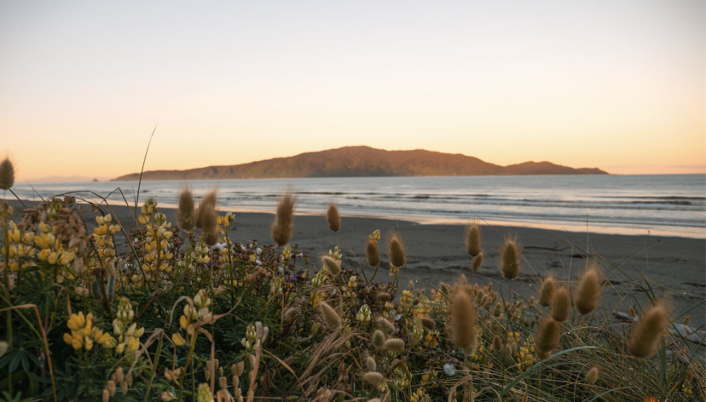 Principal's Message, Term 2, Week 6