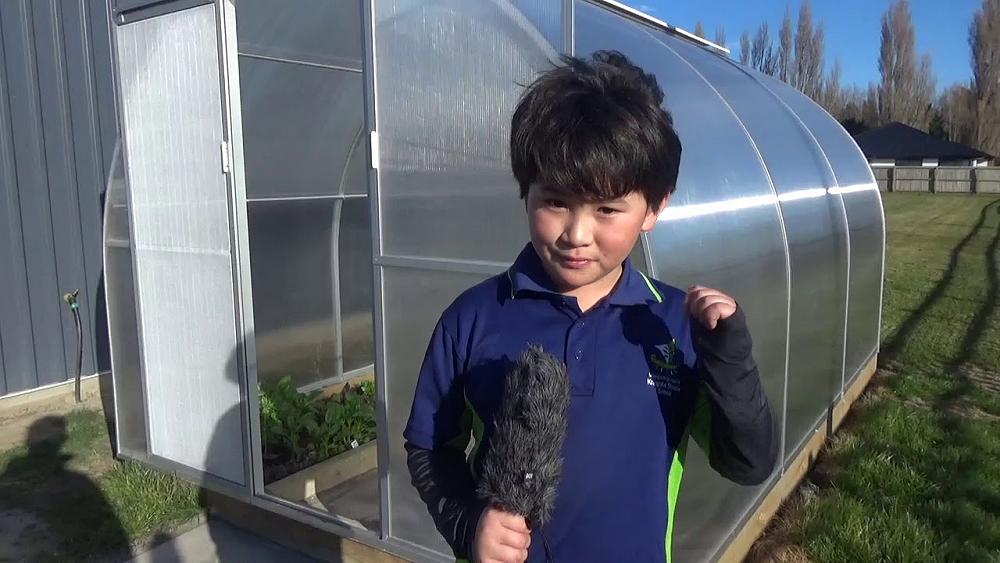 Video: KSS TV Episode 4