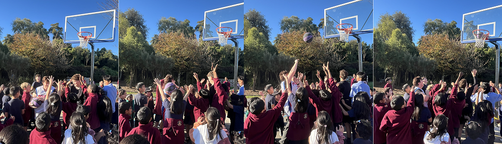 Week 3, Term 2, 2024 Newsletter