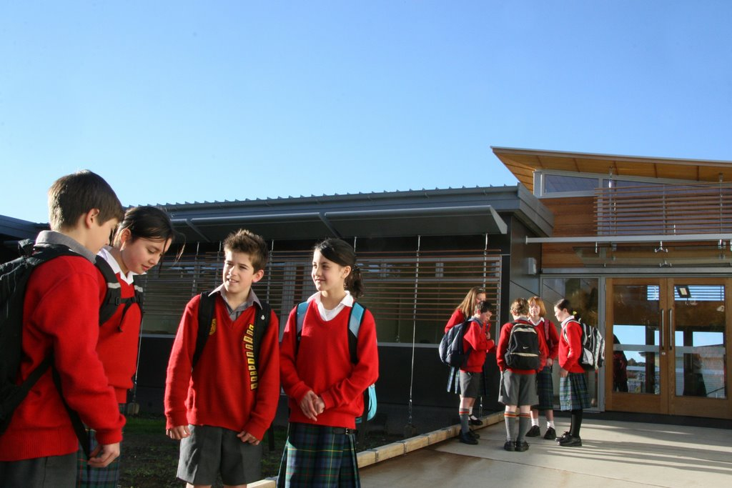 Welcome to Room 7 - 2017 | Balmacewen Intermediate