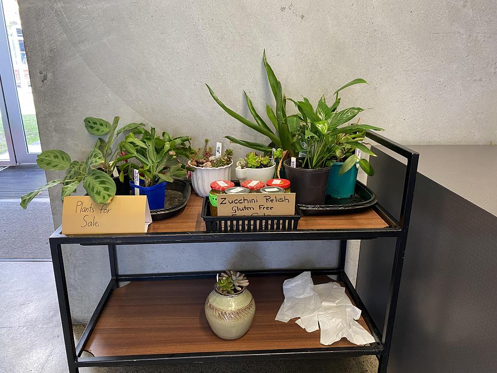School Garden Club