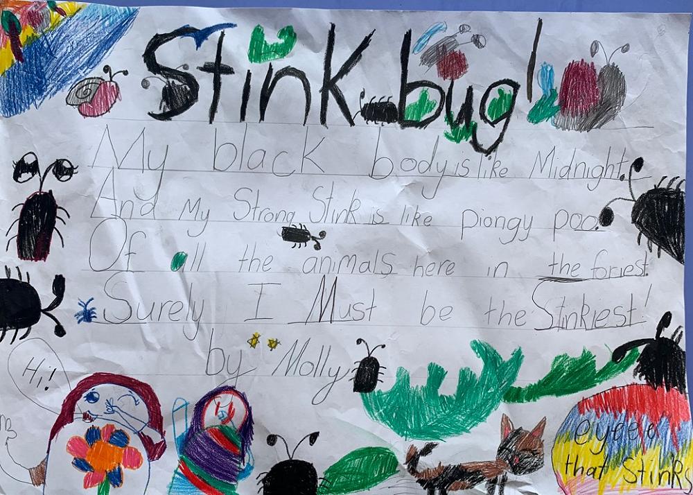 Mataī Bug Boast Poems