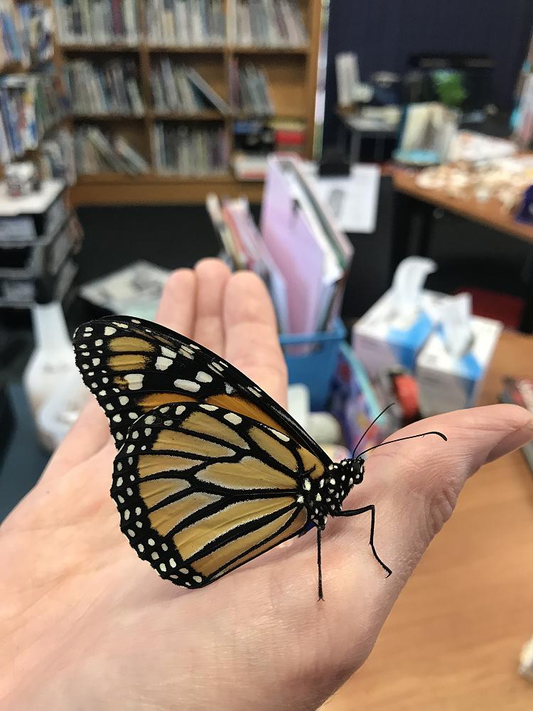 TERM ONE IN THE ALLEN CENTRE! — Term 1 Week 11 Newsletter