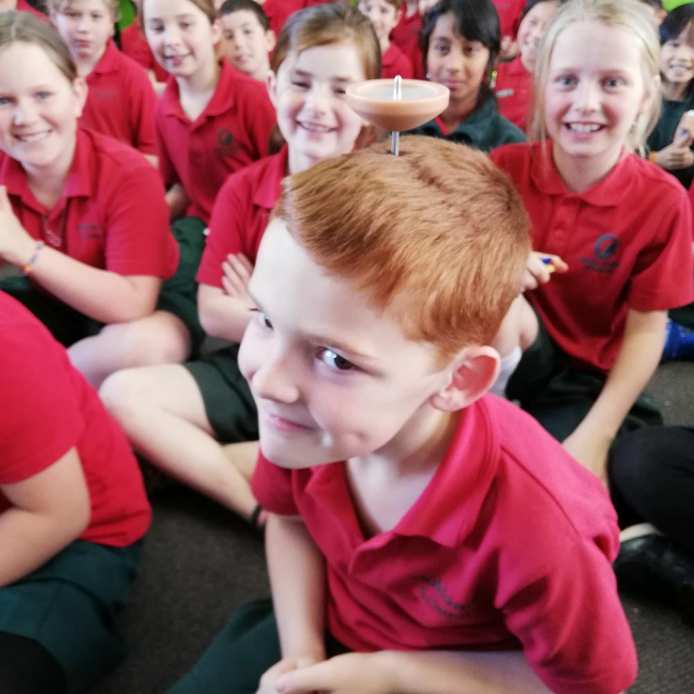 Week 5 Term 3 In Review — Year 4 Hub Blog