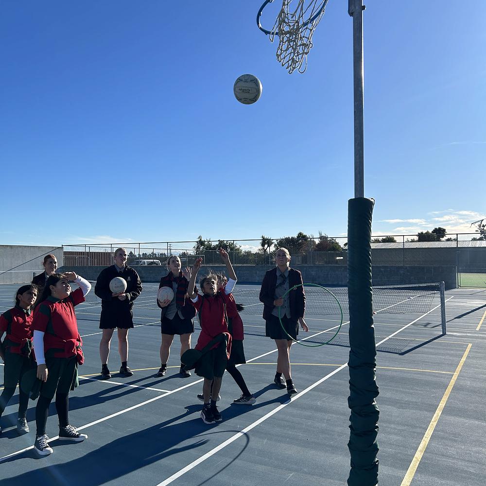 Syndicate 3 Newsletter - Term 2 Week 4