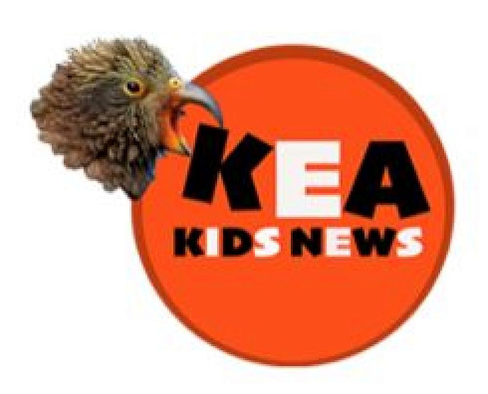 **Kea Kids News is on the hunt for local news stories and kids aged 7 ...