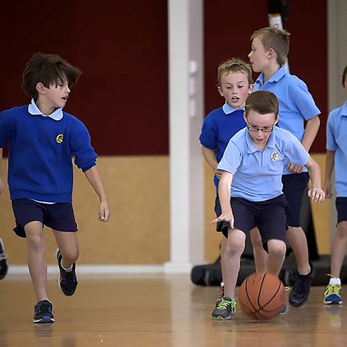 Queenspark Te Hua Mānuka