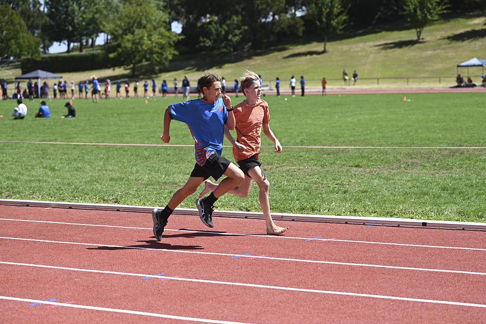 RJHS Newsletter - Term 1, Issue 1