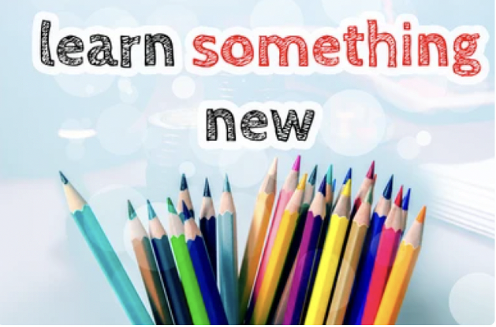 Term 4 Learning