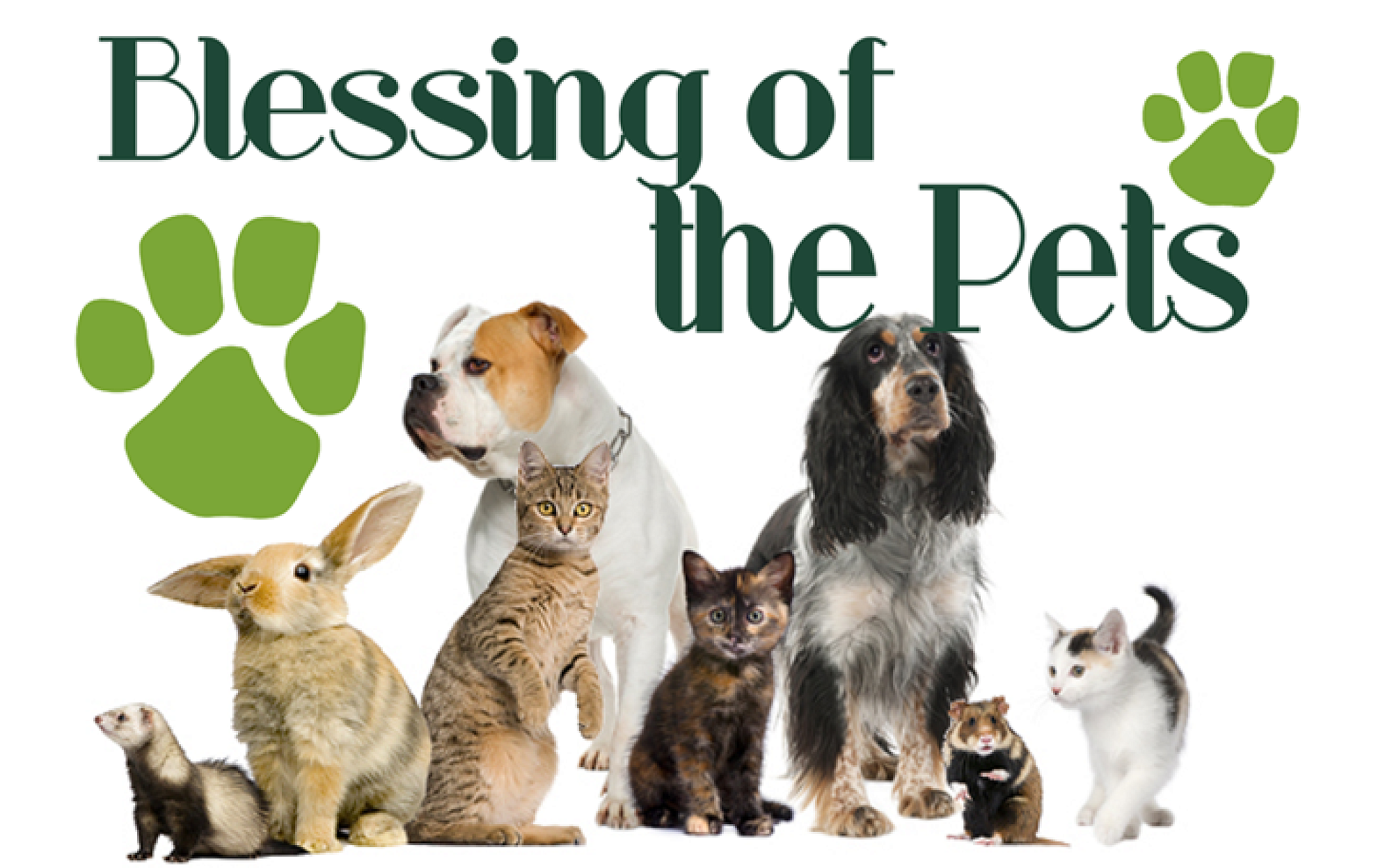 Pet Blessing Service - Oct 2nd 1030am