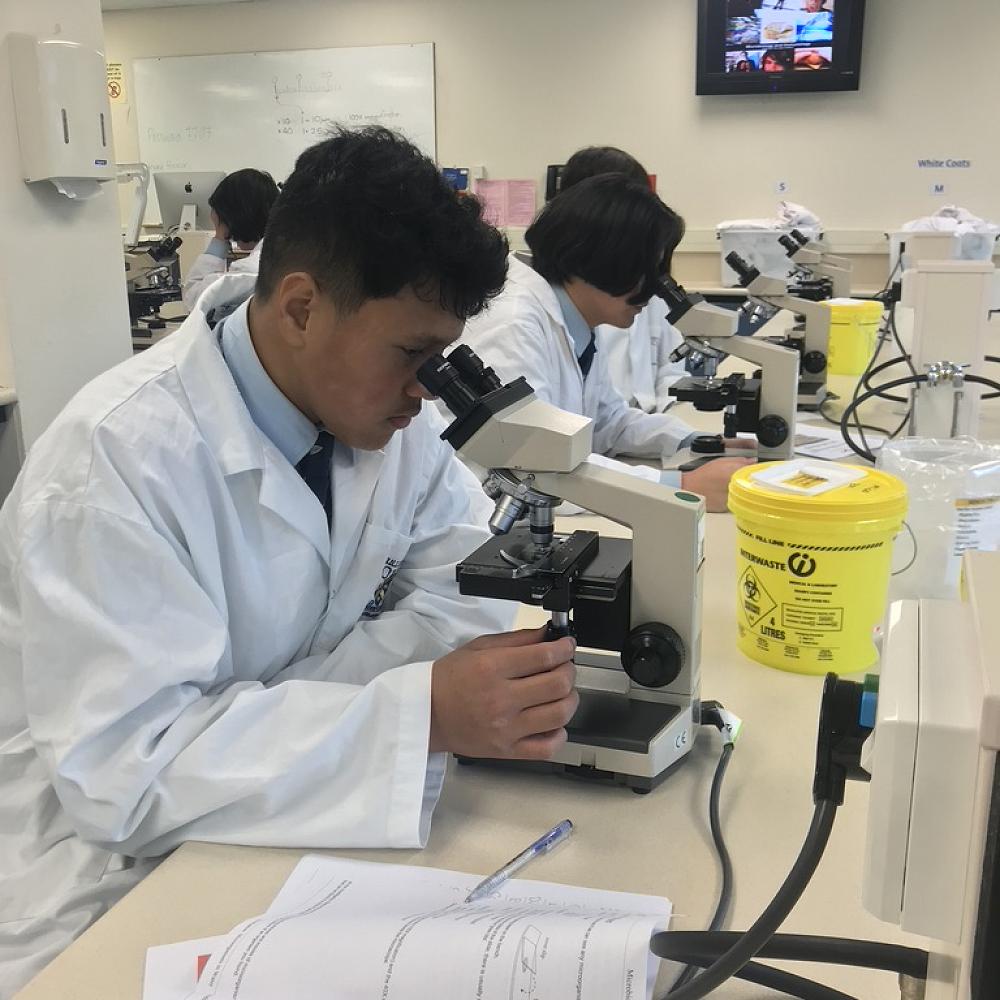 Students attend University of Otago Microbiology Lab — Our simply ...