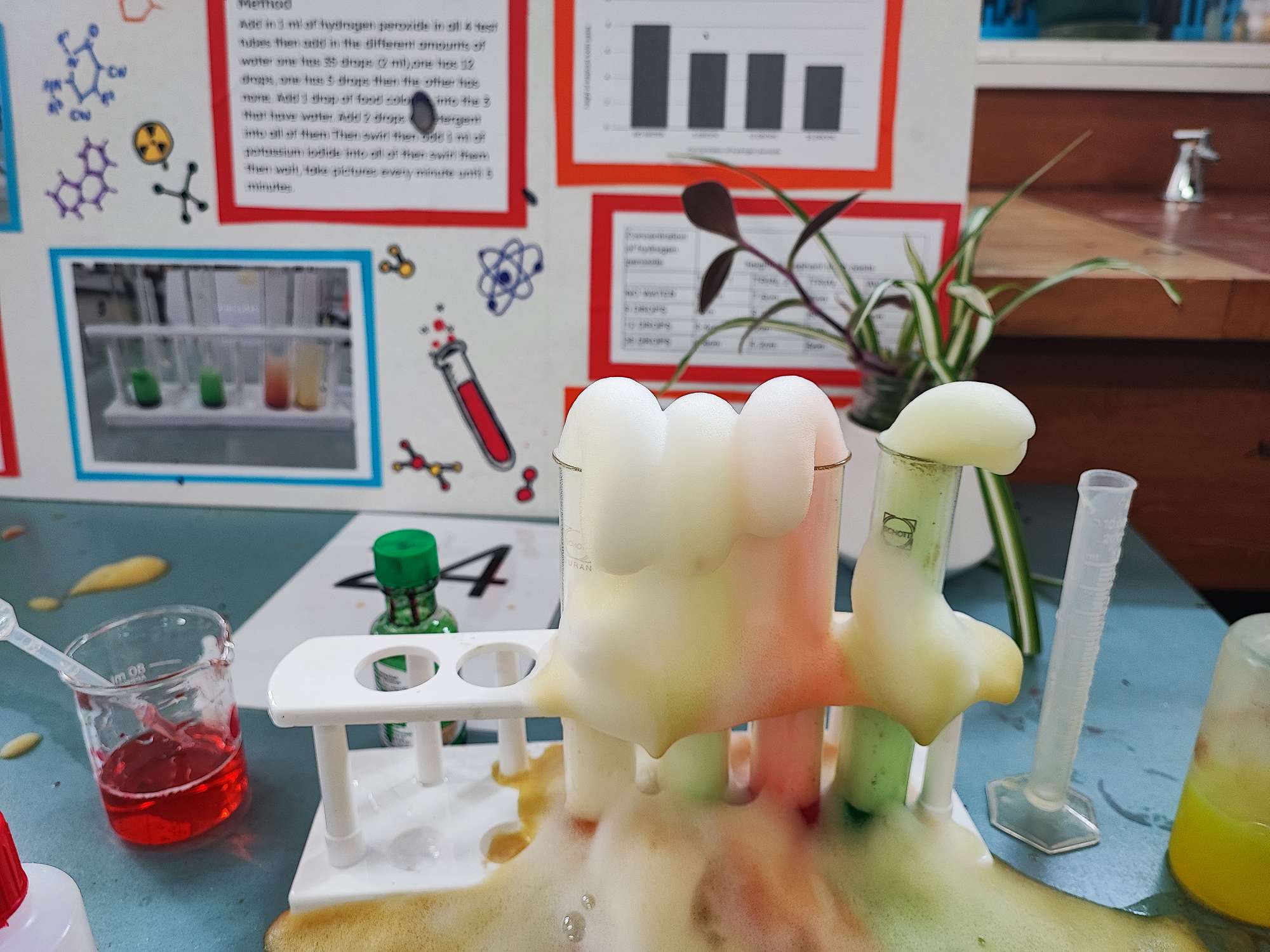 Yr9 Science Fair