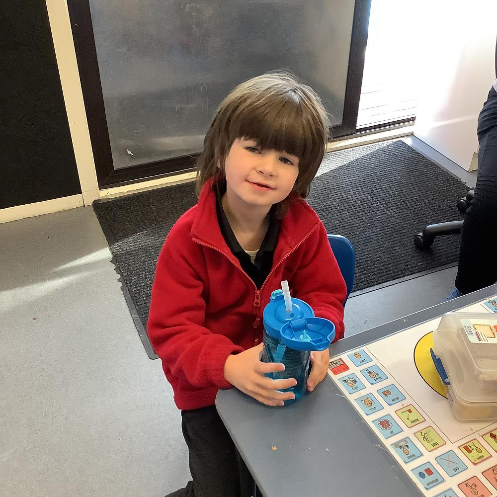 Food Fun in the Nest