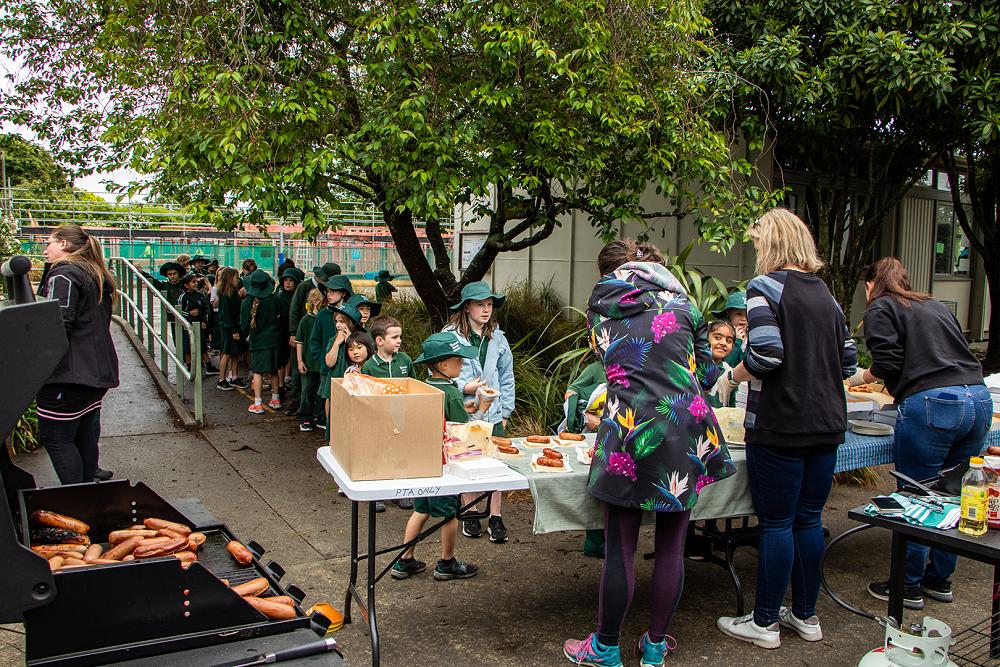 Pet Day may have been cancelled but the PTA lunch was a hit! 🍕🌭 ...