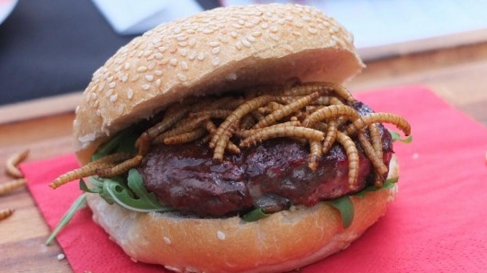Bug Burgers with chips and tomato sauce...