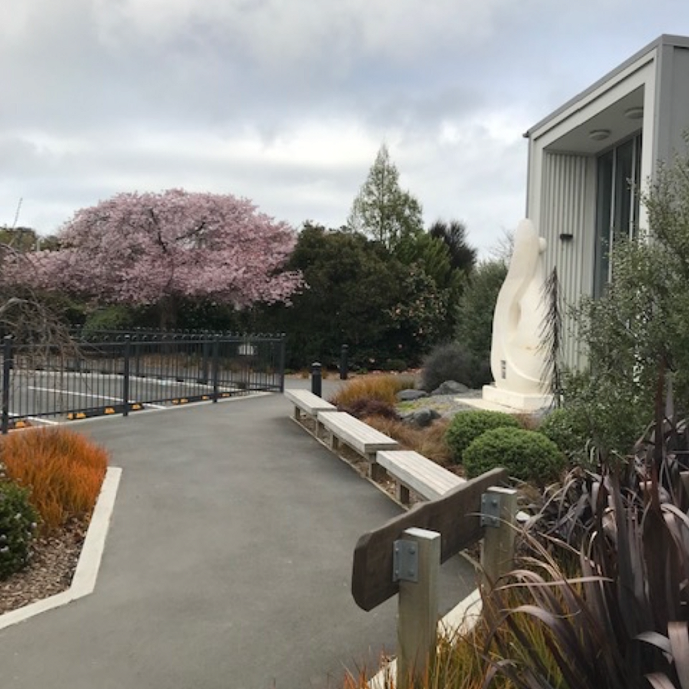 Newsletter - Term 3, Week 8