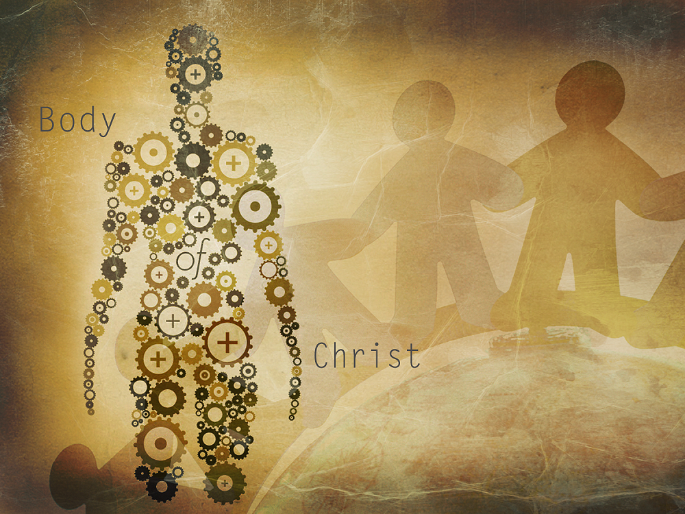 One Body, Many Parts