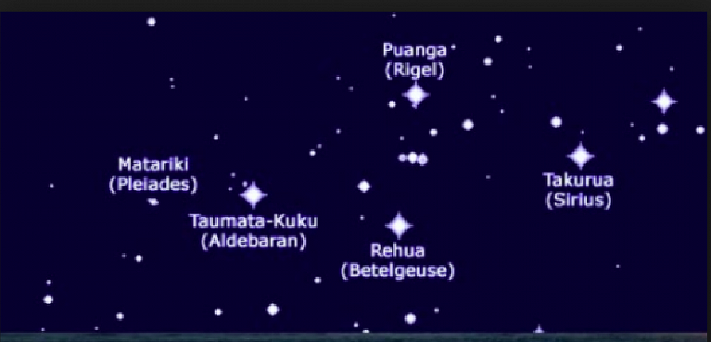 Term 2 Learning about Puanga