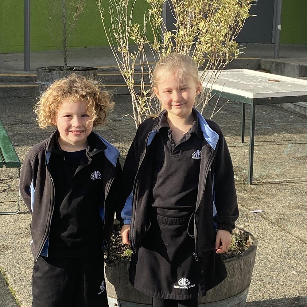 ANDERSONS BAY SCHOOL ENROLMENTS — Andersons Bay School - Newsletter 19 ...