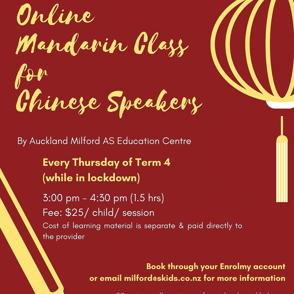 Skids - Online Tutoring during level 3