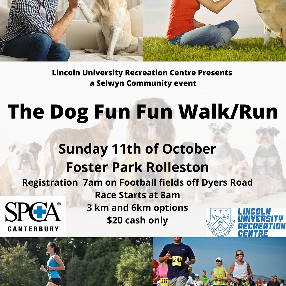 The Dog Fun Fun Walk/Run - this weekend