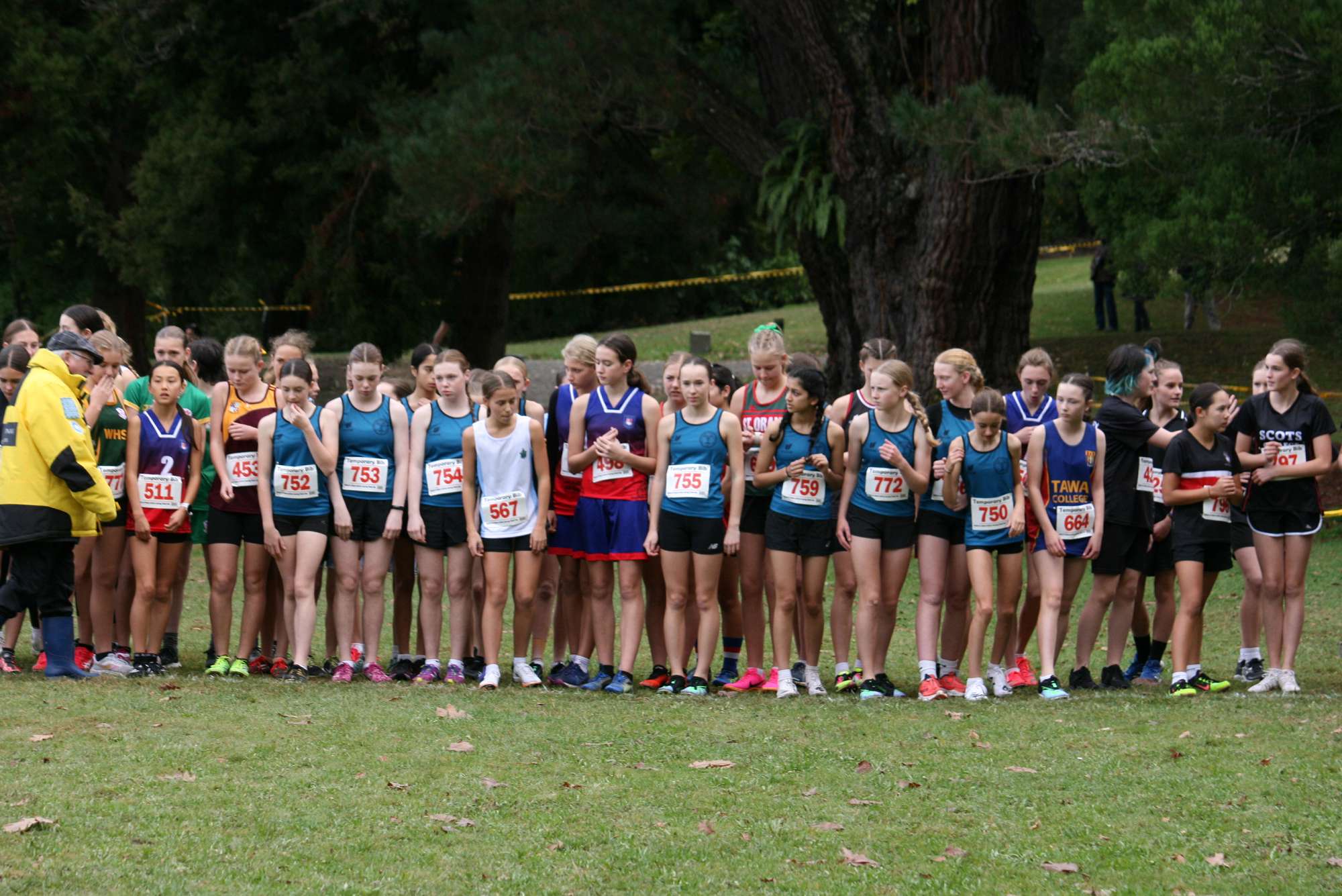 Cross Country Success