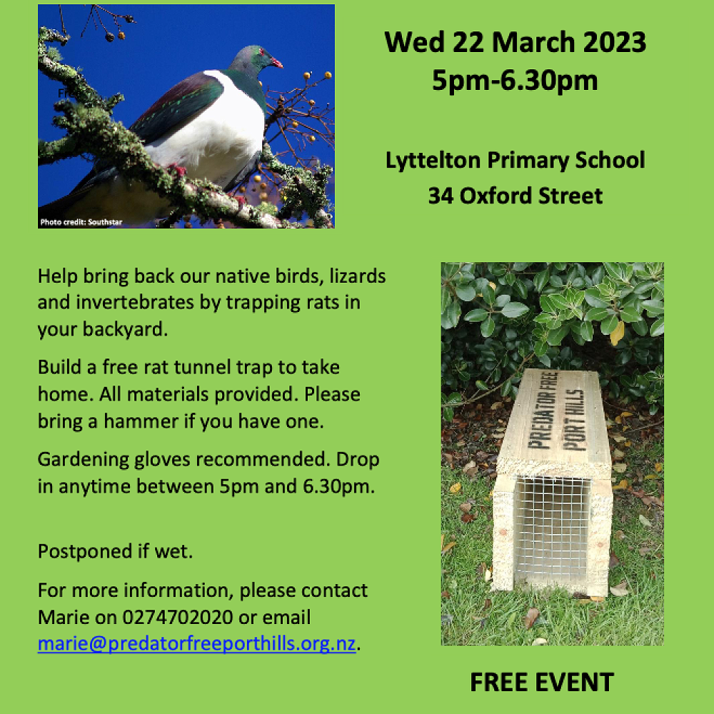 Lyttelton Trap Building Workshop