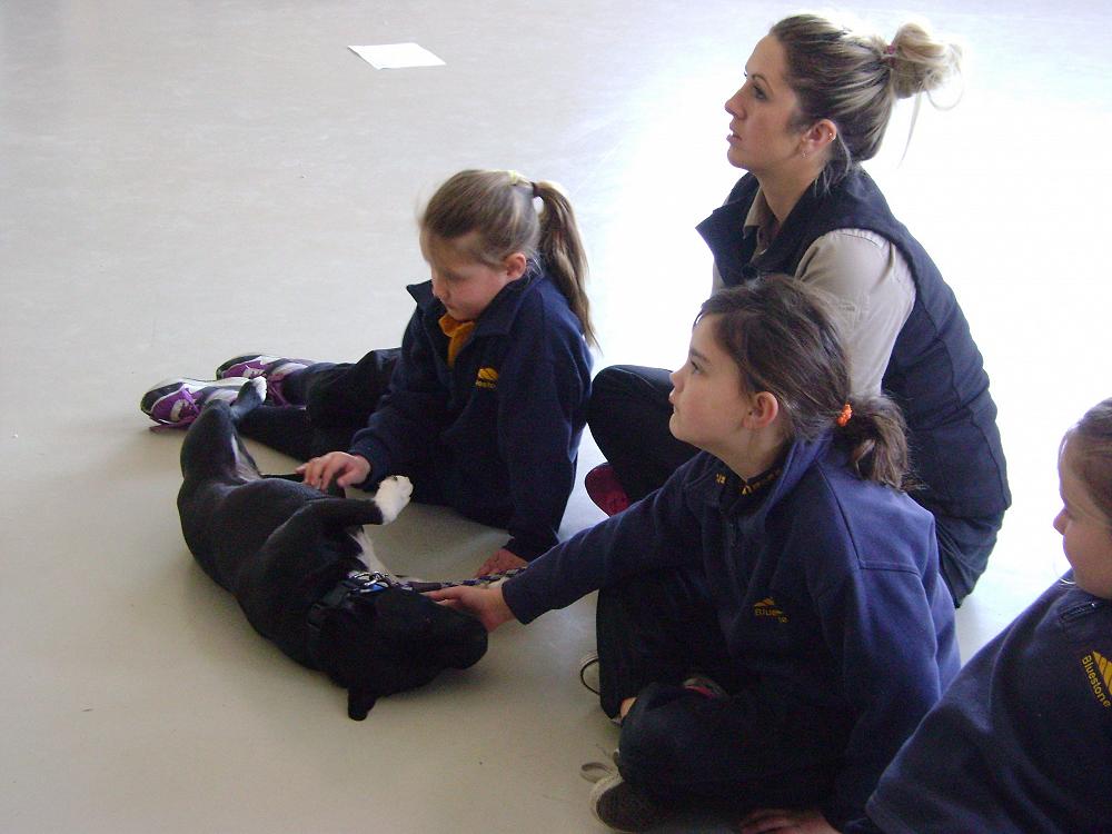 Dog's Visit to Creative Creatures — Creative Creatures News