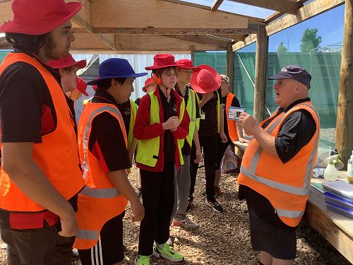 Arts, Learning Languages, Science, Social Science & Tech