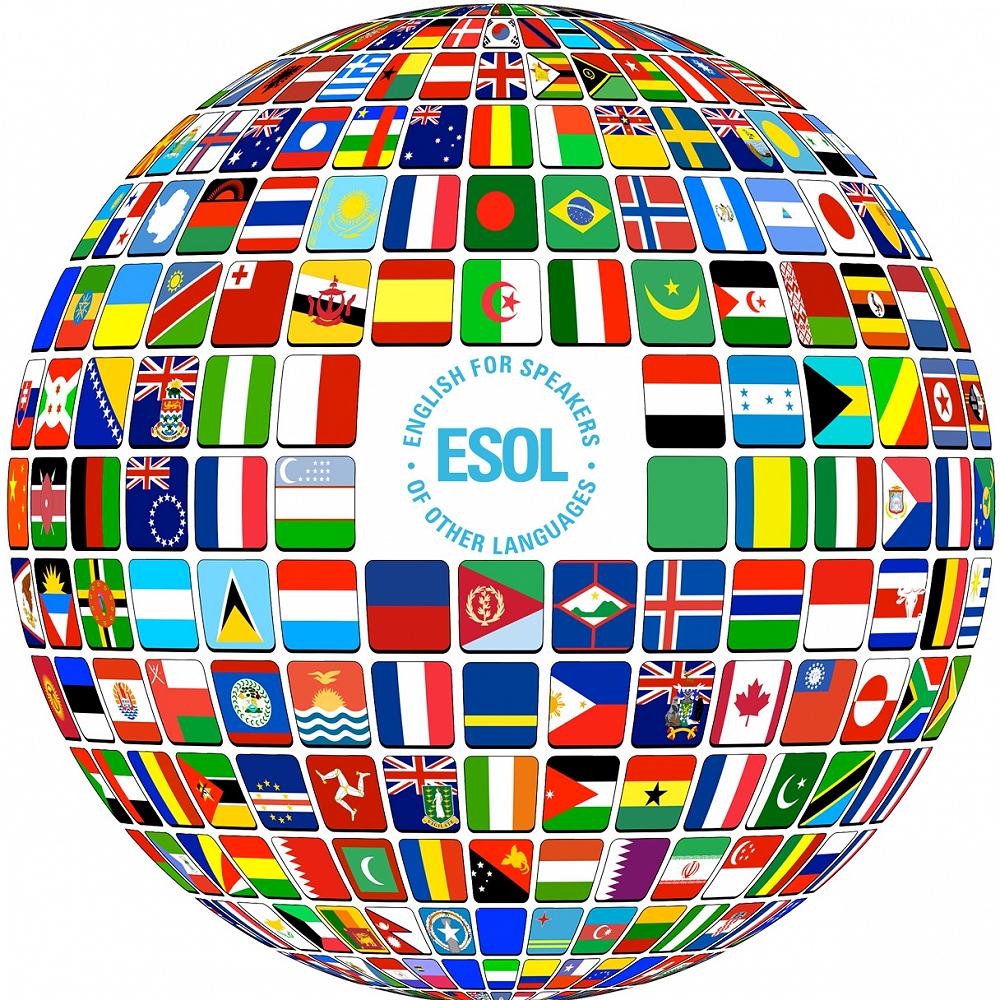 ESOL Support at Tūora Fendalton School — School Information