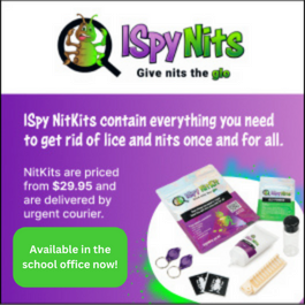 if-when-your-child-gets-nits-newsletter-term-3-week-9