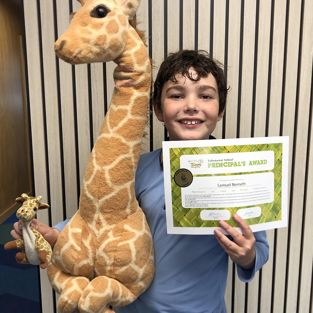 Stretch Award - Term 1 - Week 11