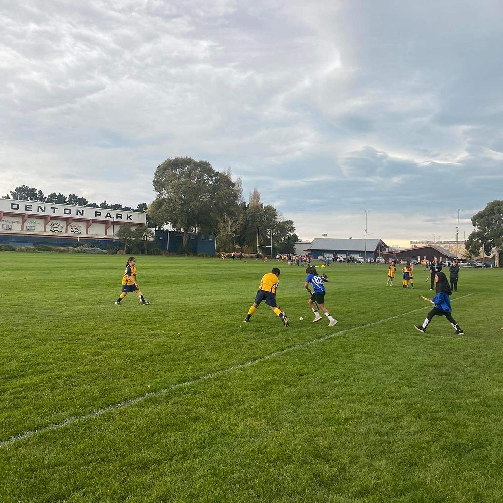 Winter Sports Update ... — Wigram Primary School Newsletter: 1st June 2023