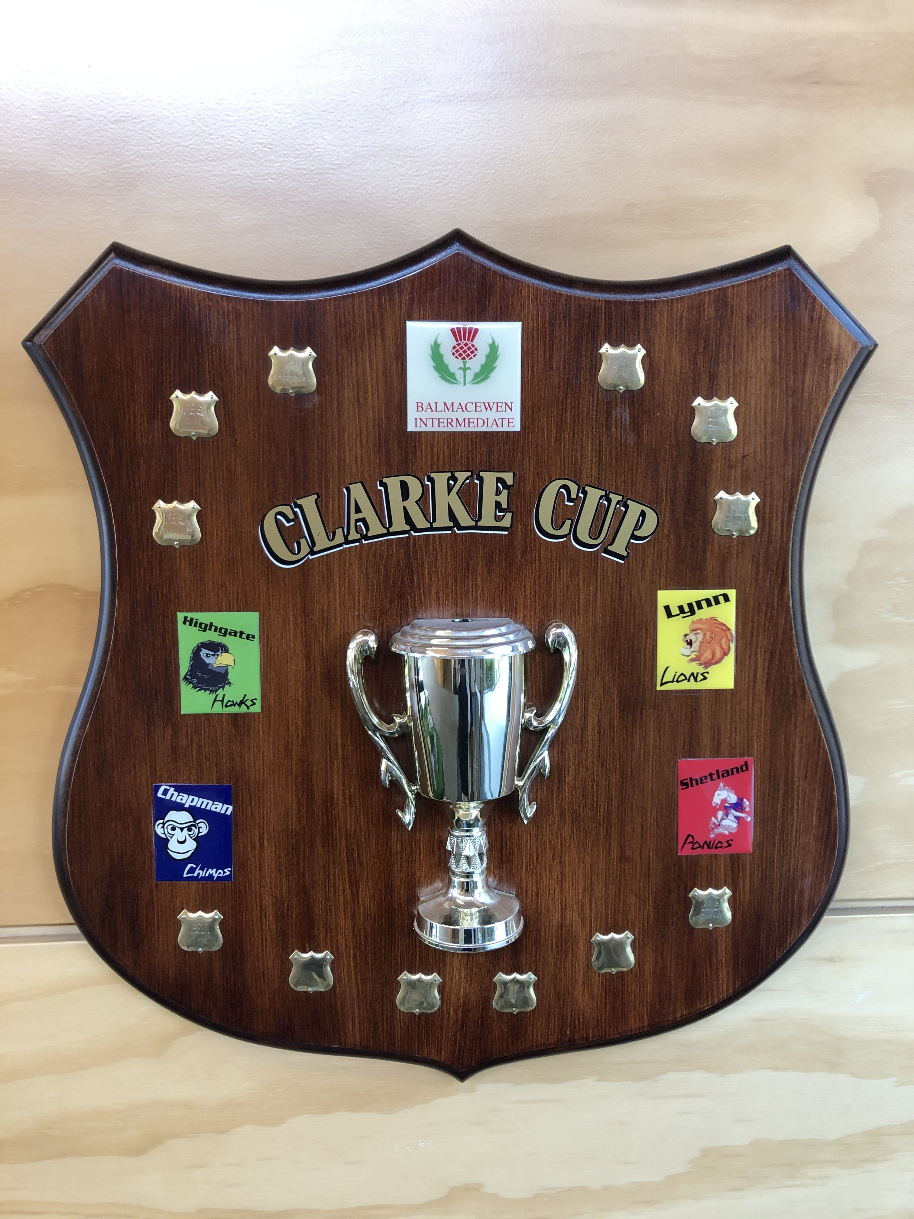 Prize giving assembly | Balmacewen Intermediate