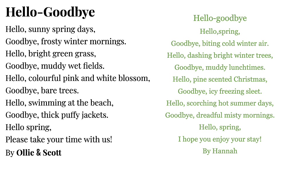 Blooming great writing in Room 6 — Term 3 Week 10 Newsletter