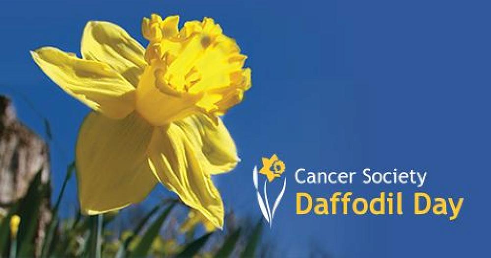 Daffodil Day Mufti Day - Thank you