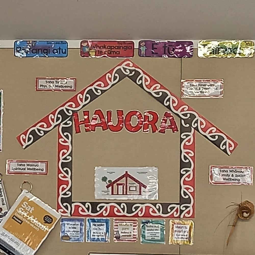 Hauora - Exploring our personal 'te whare tapa whā'...