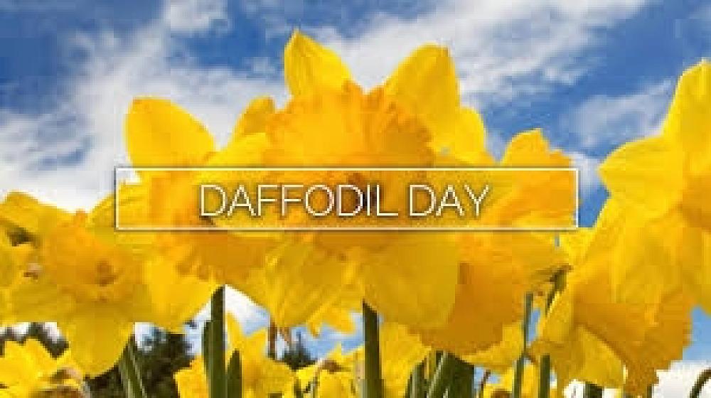 Daffodil Day - ‘With your help there’s hope’